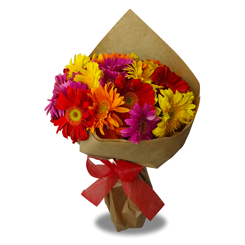 Bonsai flowers and plants | Online flowers shop | Lebanon