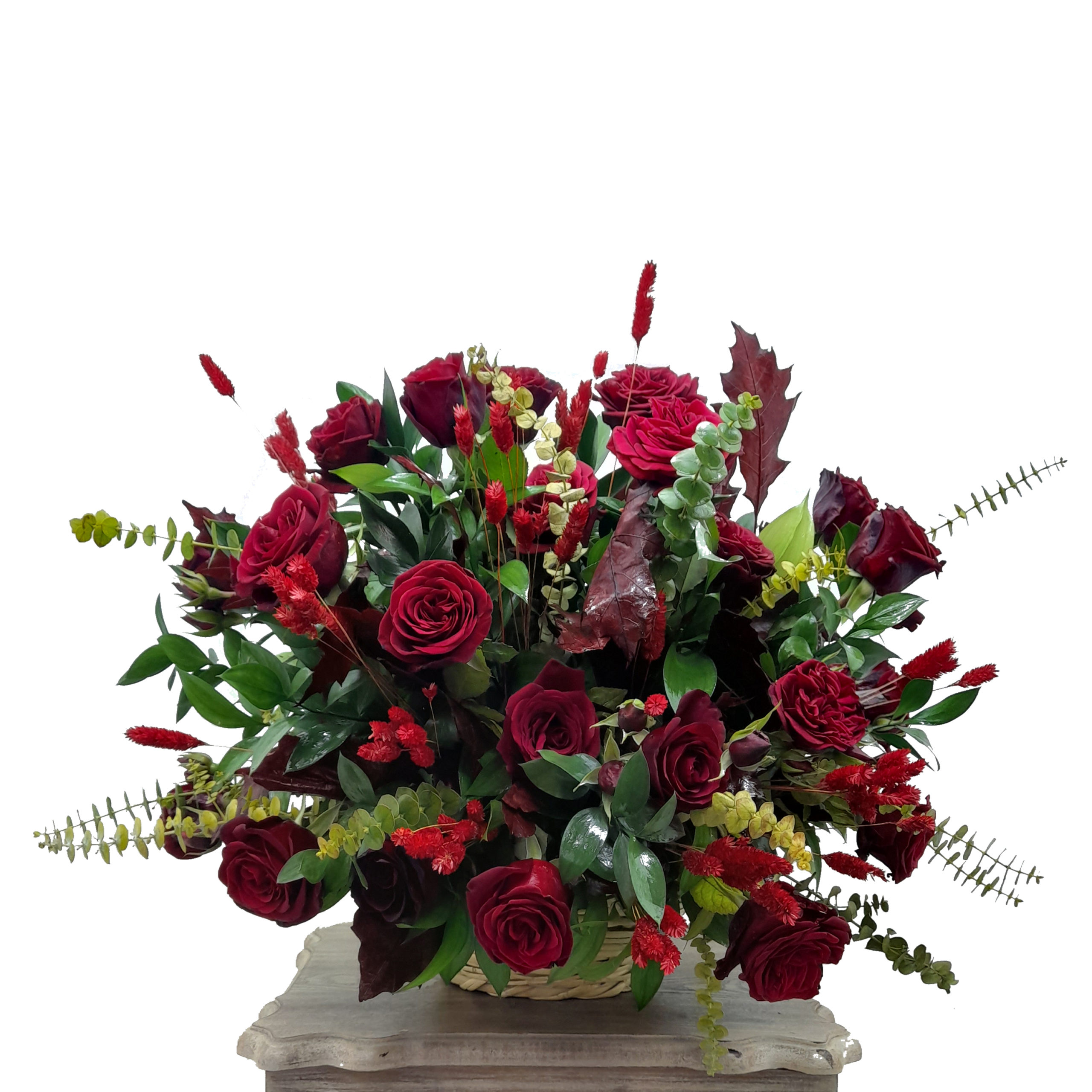 Red Bomb - Bonsai flowers and plants